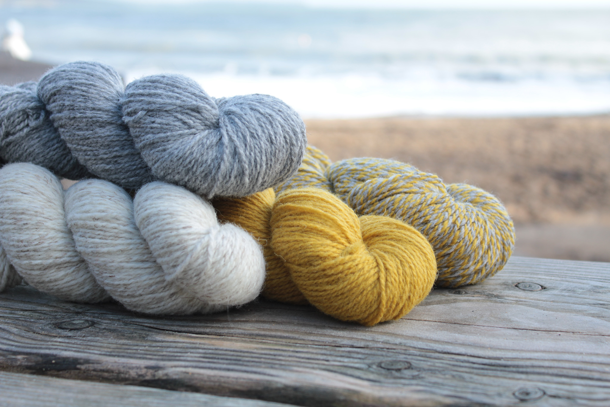 Thea Colman x Carol Feller – 2024 Blanket Club – Carol Feller